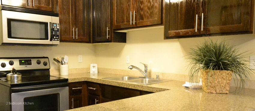 Amenities – Tenzen Apartments Bellevue Washington